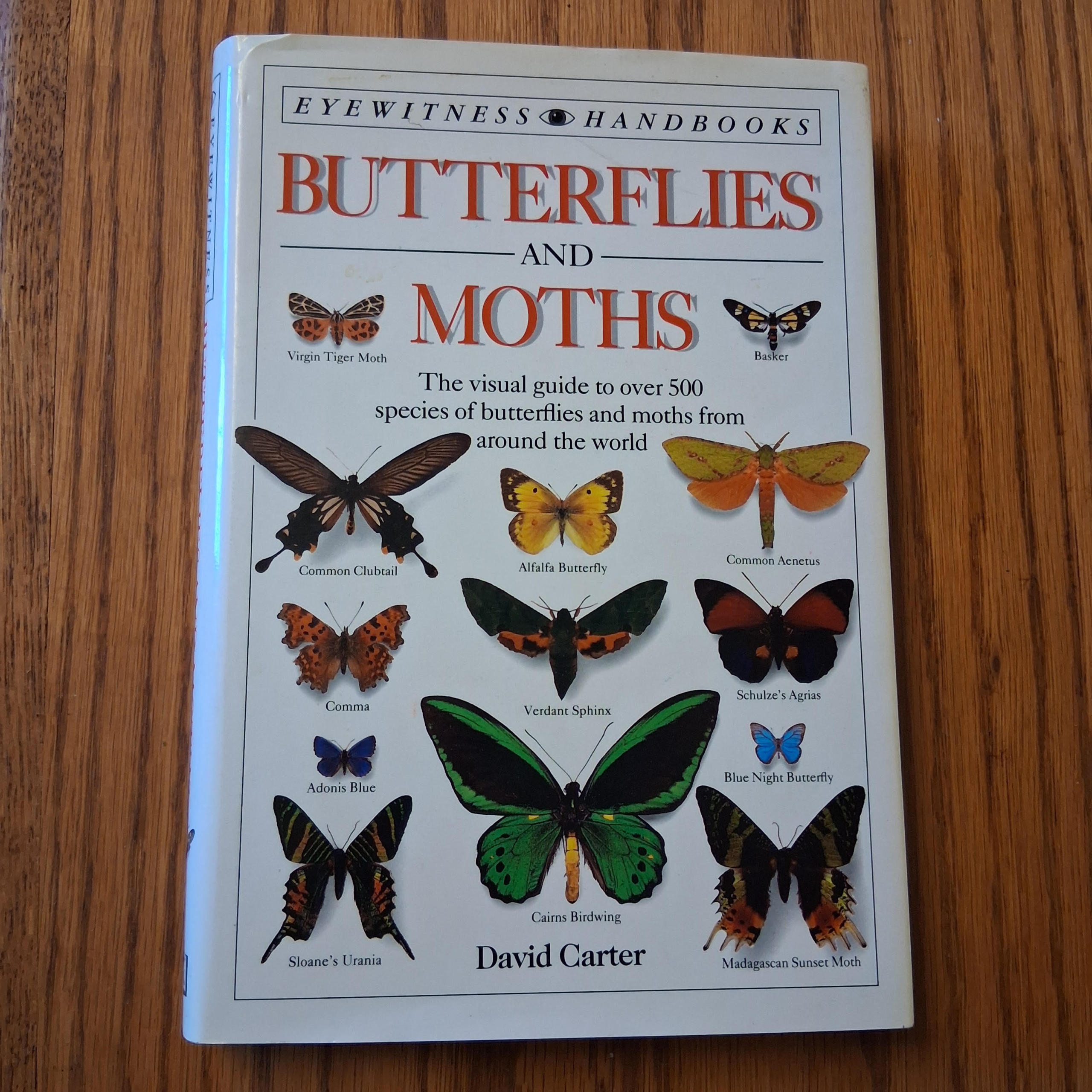 “Butterflies and Moths” an eyewitness handbook by David Carter ...